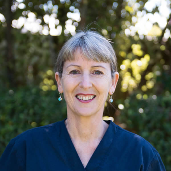 About Us | Dental Clinic - Family Dentist - General & Cosmetic ...